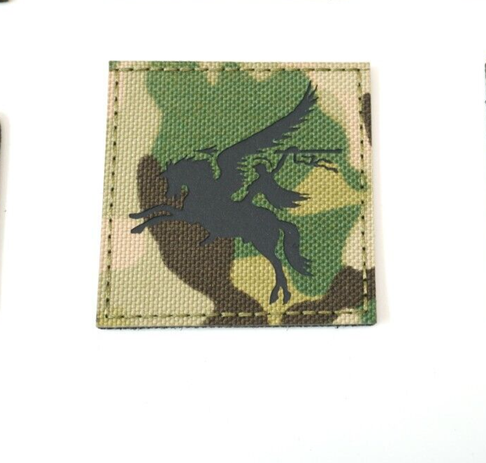 British Army Pegasus Patch In MTP 16 Air Assault Brigade Para Regiment ...